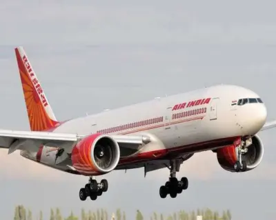 Rajkot-Delhi Air India Flight Makes Emergency Landing After Bird Strike ...