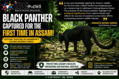 Black Panther Captured on Camera Trap for First Time in Assam's Dulung ...