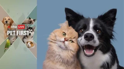 ABP Live Pet First | Pet Safety Alert: 5 Deadly Summer Mistakes Every ...