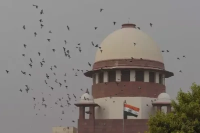 143 structures face demolition in Shalimar Bagh road project | Dailyhunt