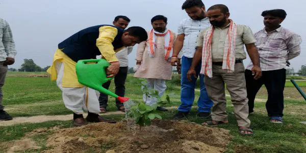 UP BJP MP spreading message of environmental protection via tree ...