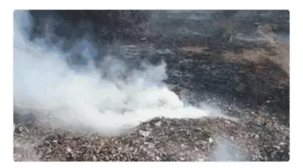 Massive forest fire breaks out in Himachal's Kasauli, Air Force ...