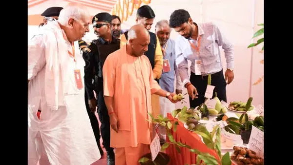 Dolphin rescue in UP highlighted on national platform | Dailyhunt