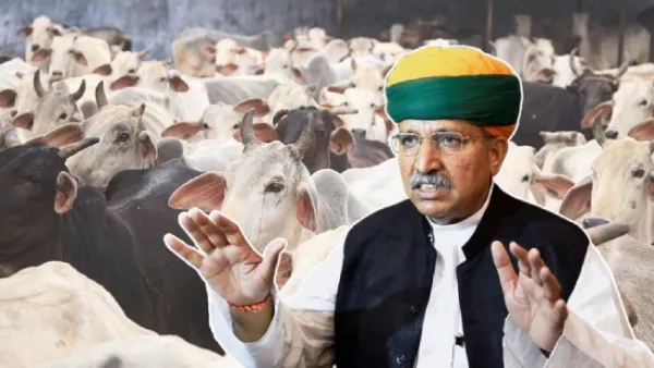 No proposal under consideration for a nationwide ban on cow slaughter ...