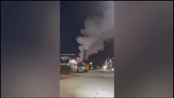 Security guard burnt alive after fire erupts inside chemical factory in ...