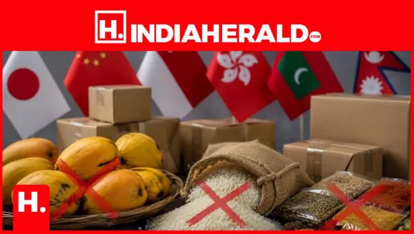 Mangoes Banned by Japan. Rice Rejected by China - When Will India Stop ...