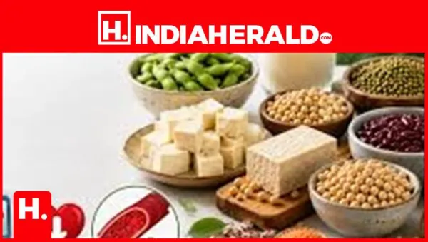 High Blood Pressure? Daily Soy and Legume Intake May Help Lower It ...