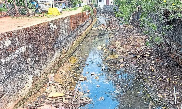 Drains remain unclean, residents complain of poor streetlight ...