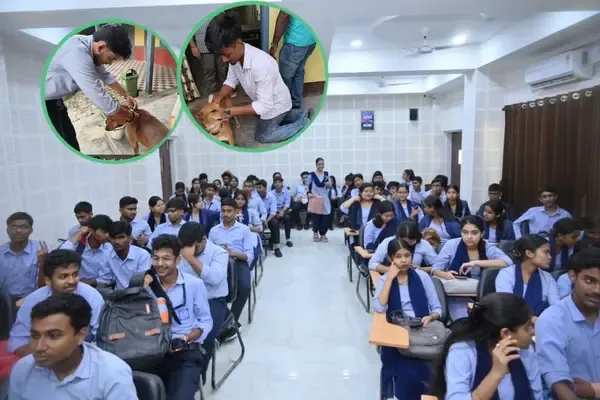 Radium Belt Distribution Drive Conducted for Stray Dogs in Guwahati ...