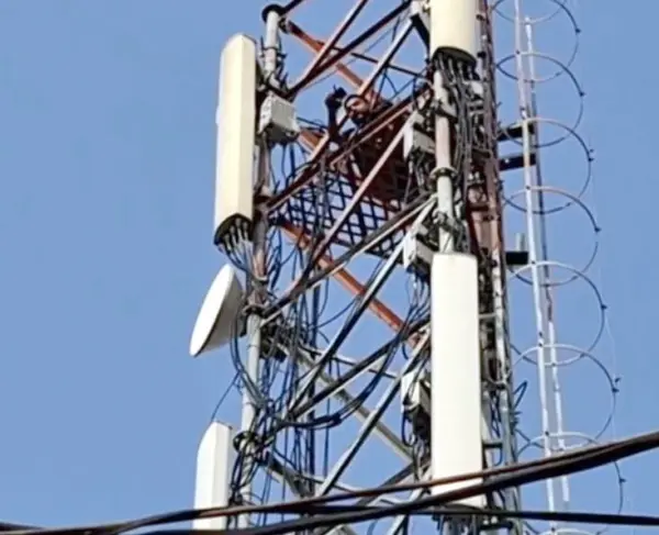 Punjab man climbs mobile tower with daughter, alleges police inaction ...