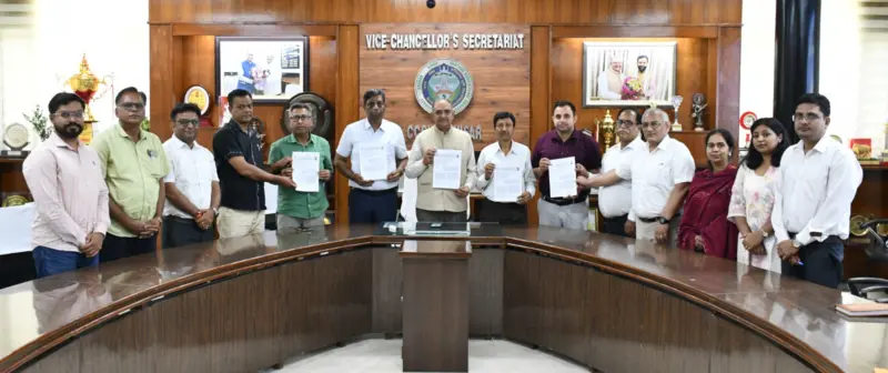 Haryana: HAU scientists identify new pathogen causing strawberry wilt ...