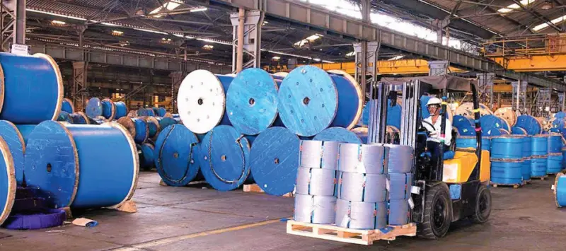 India's wire rope leader strengthens global grip as profits surge ...