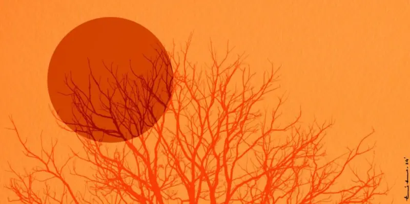 They Call It Stupid Hot for a Reason: Heat Muddles Animal Brains ...