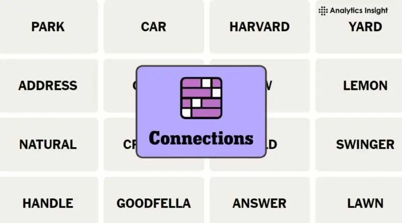 NYT Connections Today for October 24, 2024 | Dailyhunt