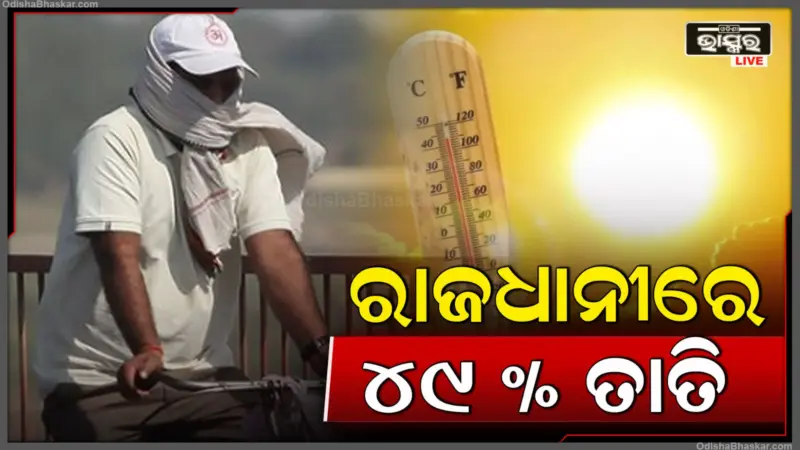 ଜଳୁଛି ରାଜଧାନୀ, ୪୯% ଛଇଁଲା ତାପମାତ୍ର | Dailyhunt