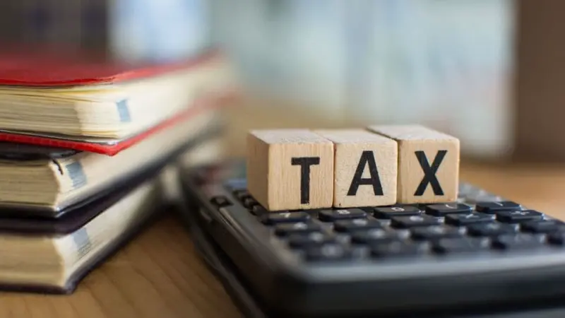 Easing ITR compliance: A guide to presumptive taxation under Section ...