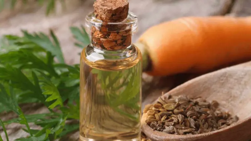 Carrot Oil : ముఖం గ్లో అవ్వాలా.? క్యారెట్ నూనెతో మెరిసే చర్మం.. | Dailyhunt