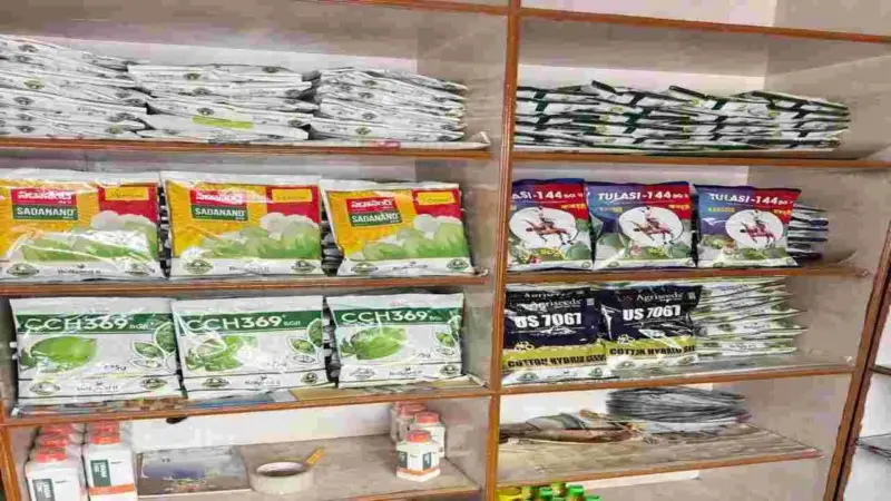 పత్తి విత్తనాలు రెడీ... | Dailyhunt
