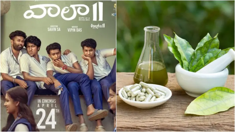 From movie scene to real-world risks: Inside Vaazha 2 'arishtam ...