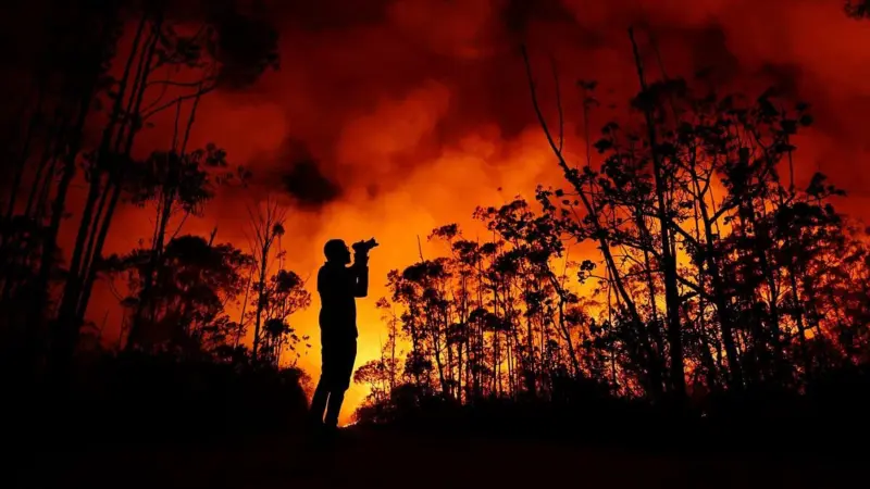 Climate crisis may scorch 74% of animal habitats by 2050: Report ...