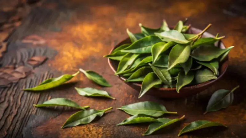 Are Your Curry Leaves Turning Black in the Fridge? Simple Tips to Keep ...
