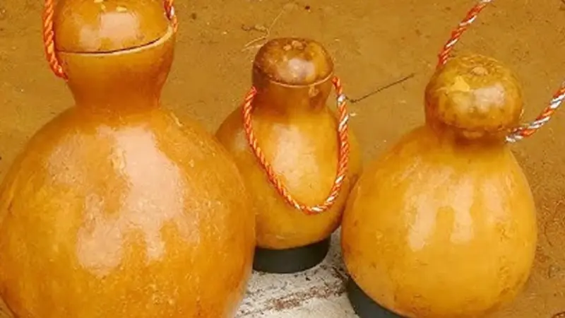 Dry Bottle Gourd : కరెంట్ లేని రోజుల్లో నీళ్లు చల్లగా.. పూర్వకాల ...