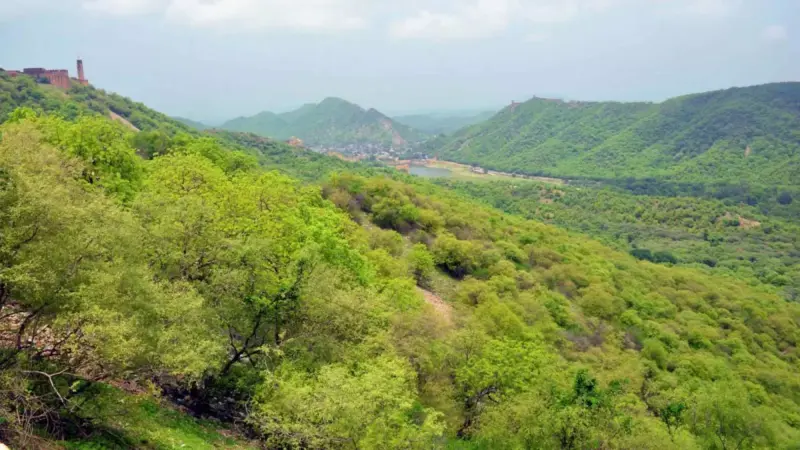 SC Forms High-Powered Expert Panel To Re-Examine Aravalli Definition ...