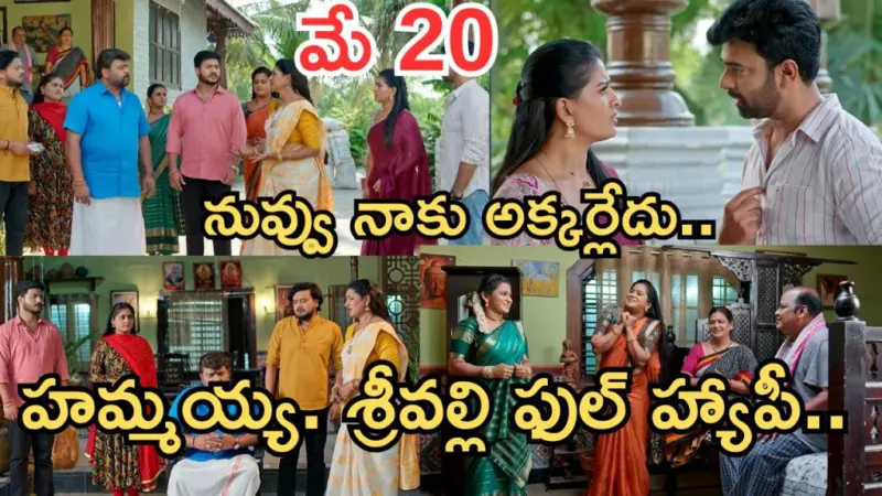 Illu Illalu Pillalu Today Episodes: ఇంట్లోంచి వెళ్లిపో రా.. సెంటిమెంట్ ...