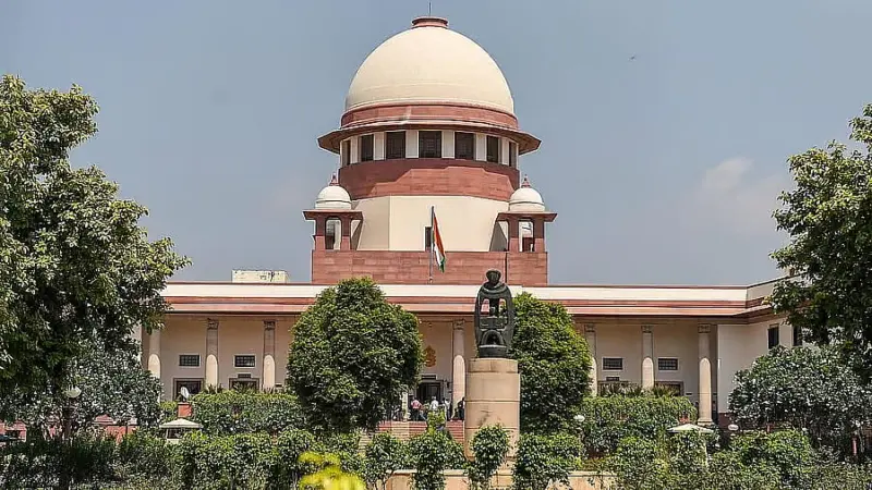 Amicus curiae urges Supreme Court to issue directions to MCD over ...