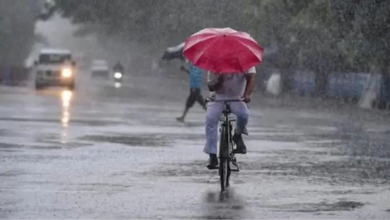 Rain And Strong Winds Expected Across Gujarat, Orange Alert Issued For ...