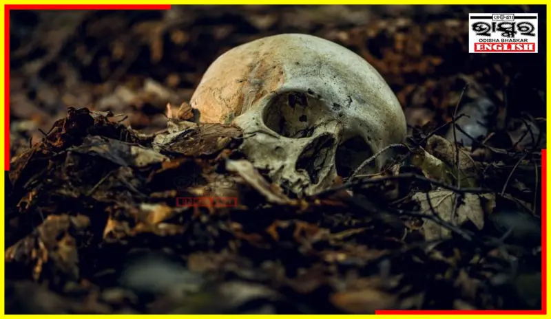 Skeleton Found in Abandoned Mill Rekindles Mystery of Missing Youth in ...