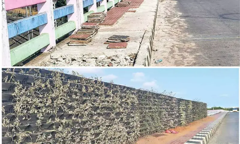 Vizag's Kancharapalem flyover left to rot, citizens allege negligence ...