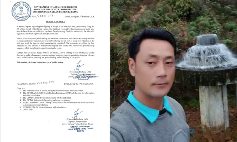 Arunachal: Public advisory issued in Lower Dibang Valley after tiger ...