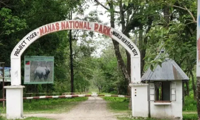 Manas National Park launches Assam's first grass nursery to tackle 60% ...