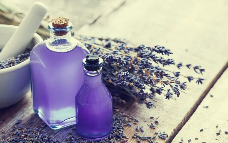 Nature in a bottle: How essential oils are shaping a greener future ...