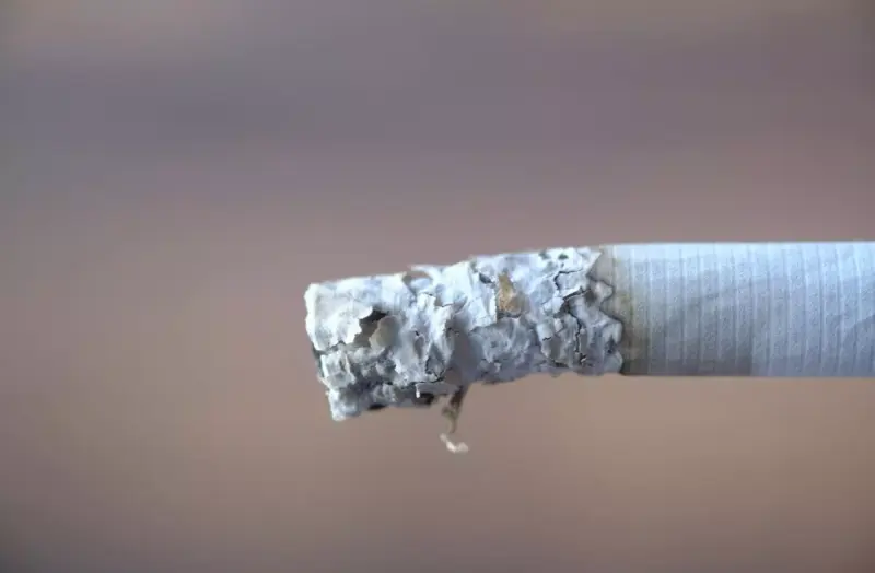 World No Tobacco Day: Smoking is not fashionable, it is invitation to ...