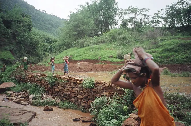 Adivasi campaigners seek dissolution of FRA task forces, alleging ...