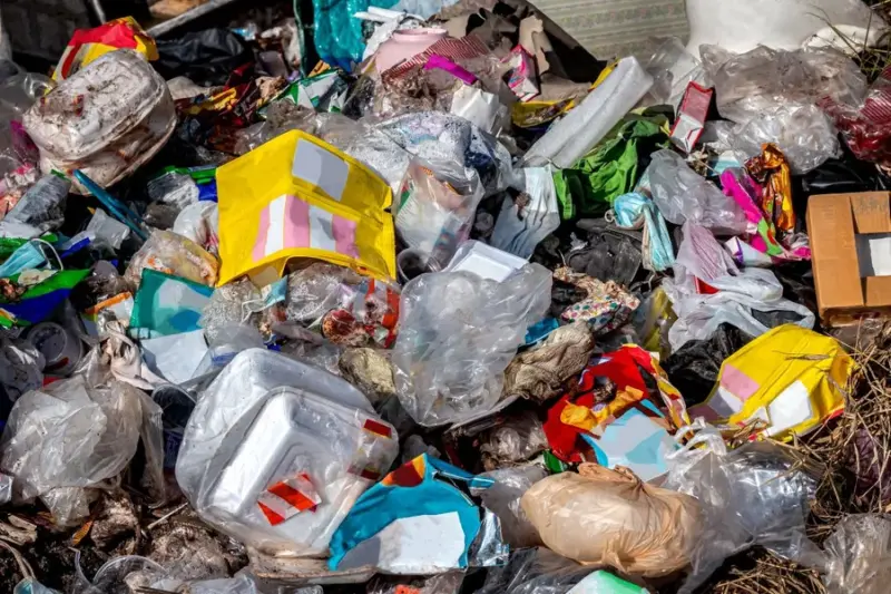Waste collection delays leave Karachi buried in garbage after Eid al ...