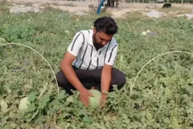 Former international hockey player turns farmer; creates jobs and ...