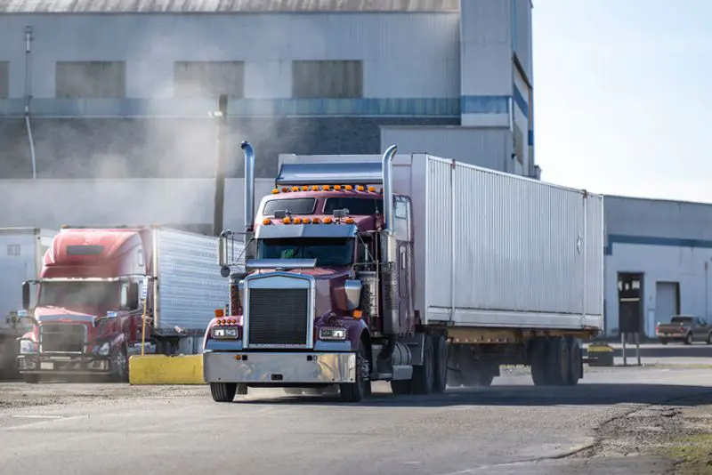 Punjabi truck drivers face uncertain future amid US deportation drive ...