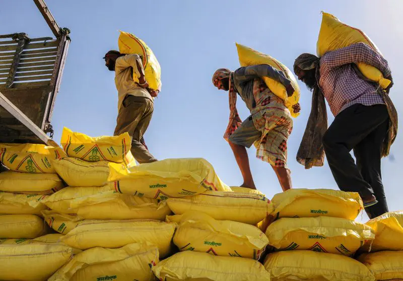 ICYMI#TheTribuneOpinion: Energy security, fertiliser subsidy among ...