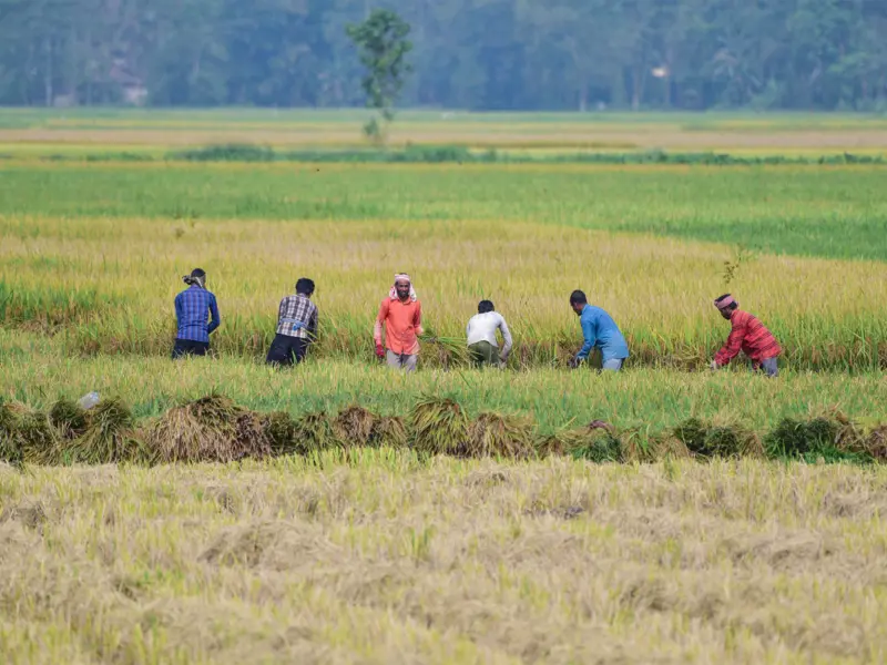 Prioritising food sovereignty: Priyambada Jayakumar calls for a new era ...