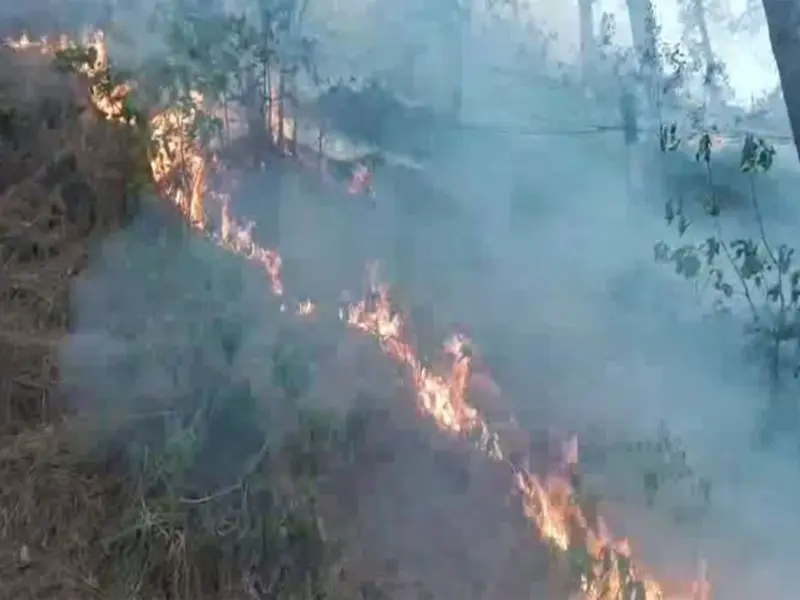 Rajouri forest fires rage across multiple locations, firefighting ...