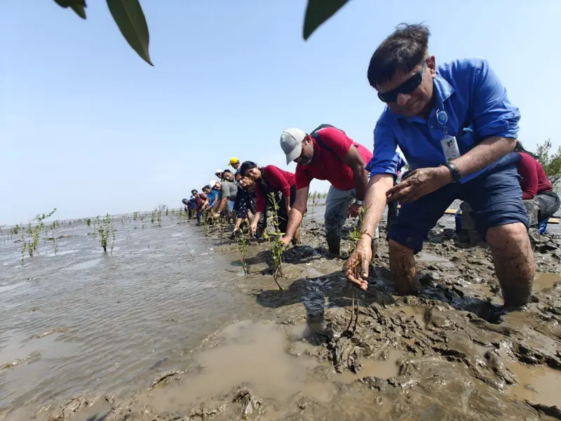 Deepak Group Goes Beyond Green with hands-On Mangrove Restoration ...
