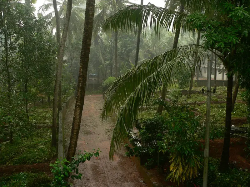 Monsoon 2026 has arrived, but India's rain season begins under El Niño ...
