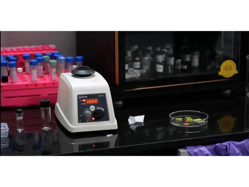 IIT Guwahati develops next-generation security technology to combat ...