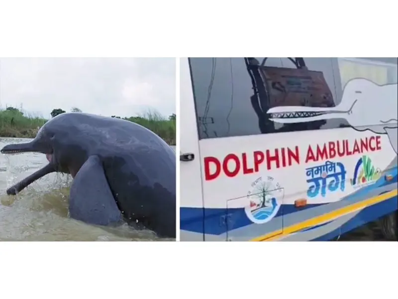 PM Modi praises 'Namami Gange Abhiyan' dolphin rescue initiative in UP ...