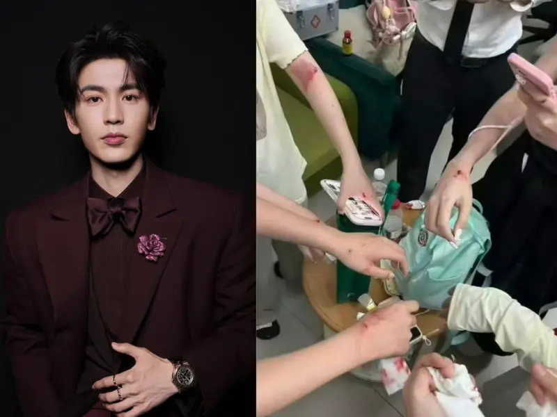 Zhang Linghe's Appearance Sparks Chaos? 5 Injured After Massive Fan ...