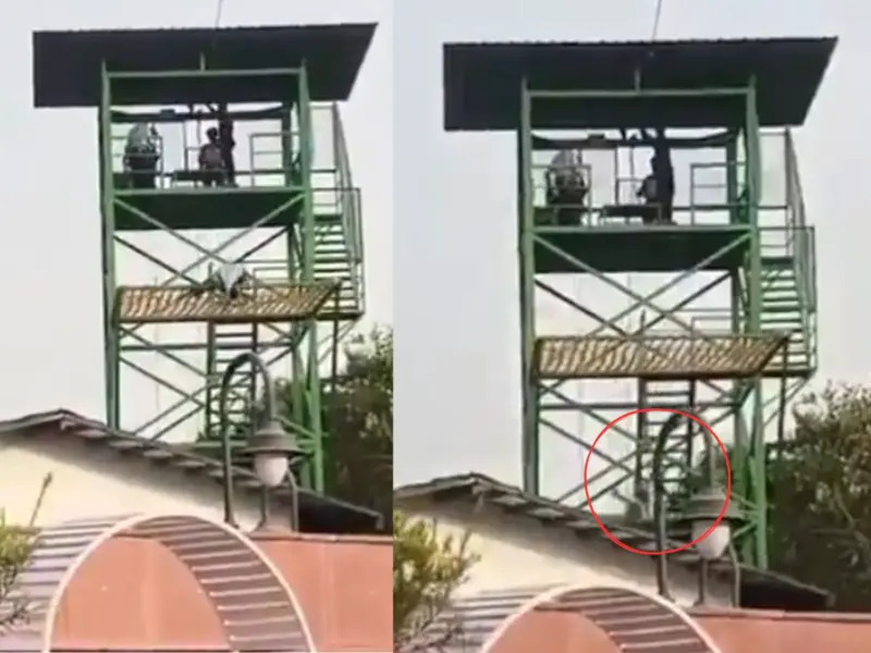 Viral Video: Teen Dies After Zipline Cable Snaps At Agra Amusement Park ...
