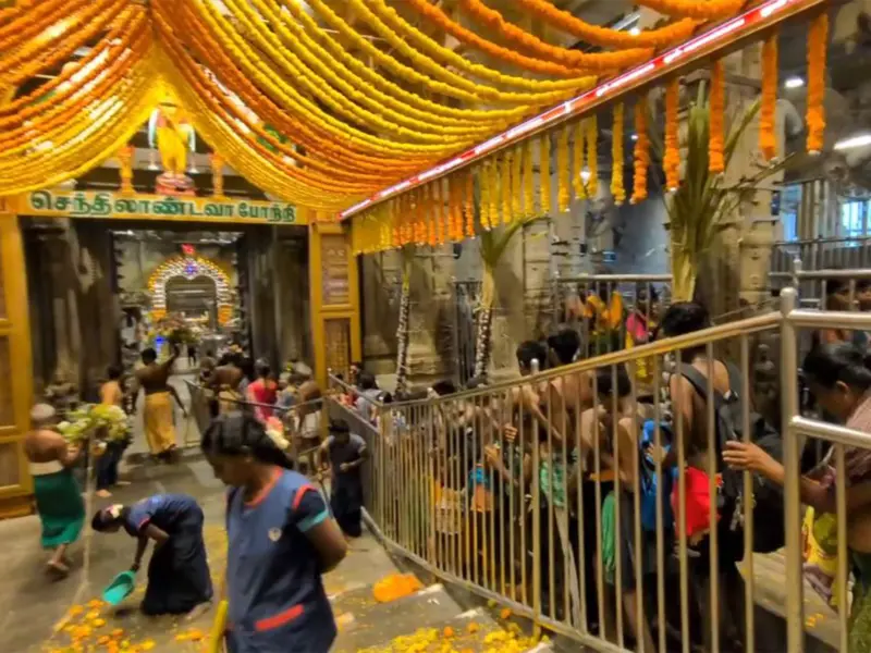 Vaikasi Visakam: Devotees offer prayers, Kavadi at Thiruparankundram ...